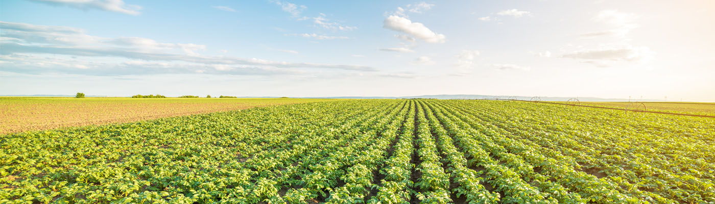 Welcome to Fresh Solutions Network! - Fresh Solutions Network